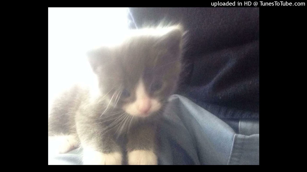 *free* bacleo x 4jay x lostrushi x axxturel type beat "xxet" - YouTube