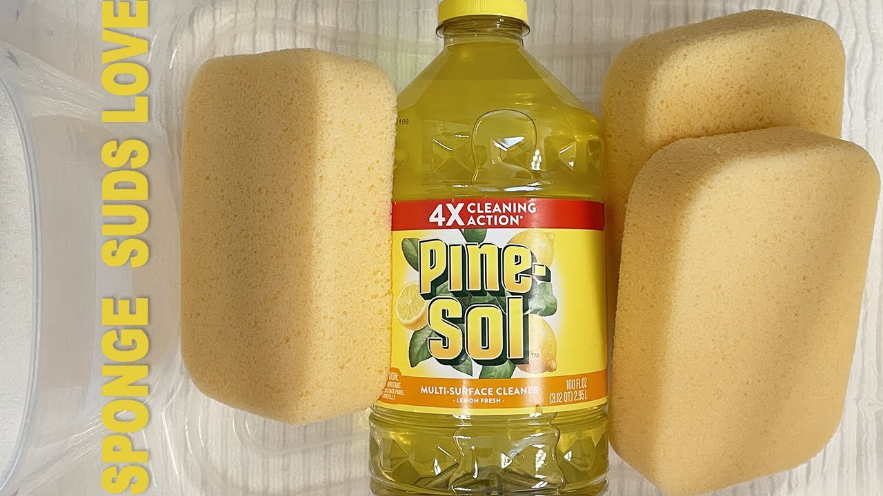 ASMR - Sponge Squeezing Lemon Pine-Sol🍋 - YouTube