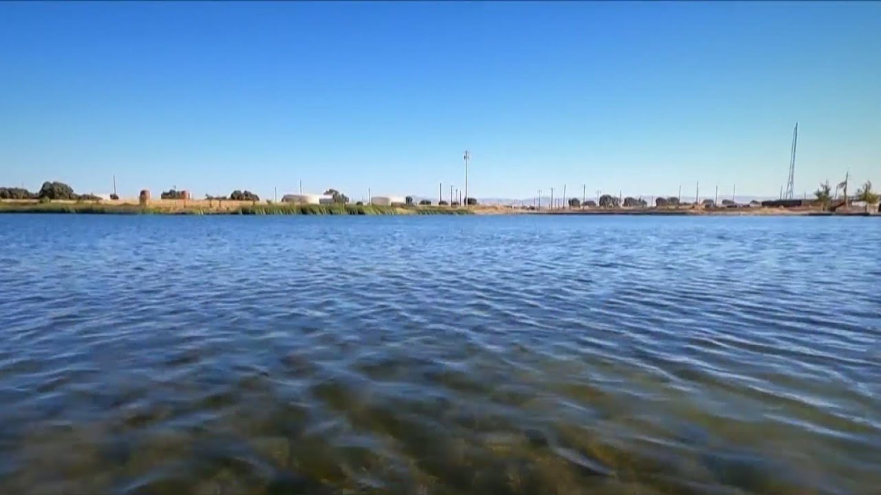 Chaotic Rescue Unfolds At Lathrop Lake - YouTube
