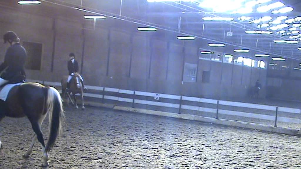 Inrijden wedstrijd Manege Pothoven - YouTube