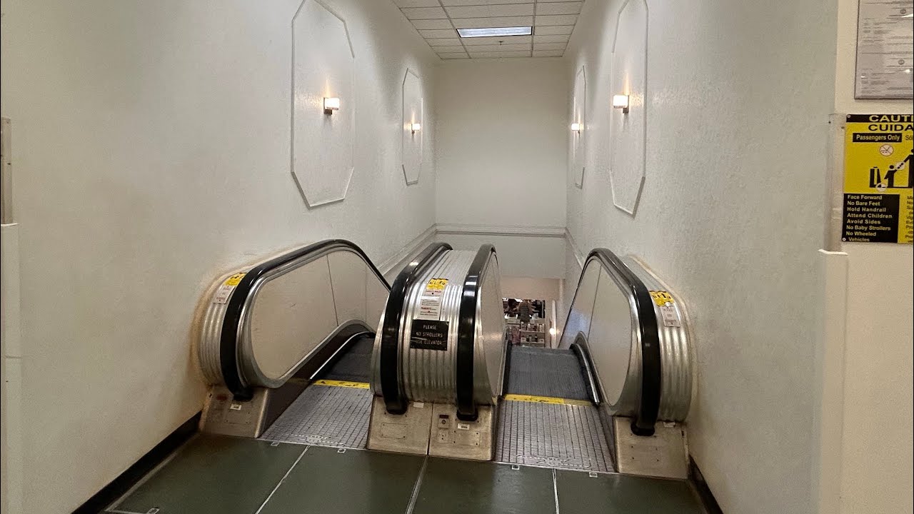For Life’s Ups and Downs: Montgomery G&P Single-File Escalators At ...