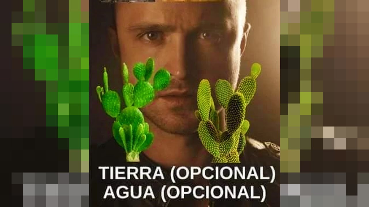 MEMES #66 | Requisitos Del Nopal 🥶 🥶 | MEMES RANDOM & SHITPOSTING - YouTube