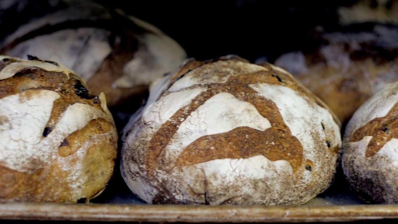 Frida's Bakery & Cafe commercial 1080 HD - YouTube