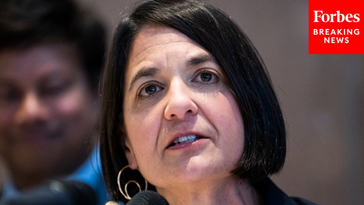 ‘We Need Common Sense Laws’: Becca Balint Calls For Expanded Voter ...