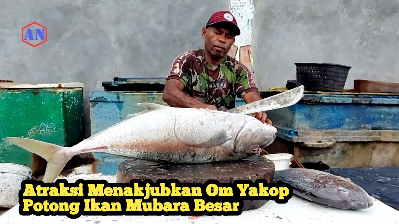 Atraksi Menakjubkan Om Yakop Potong Ikan Mubara Besar - YouTube