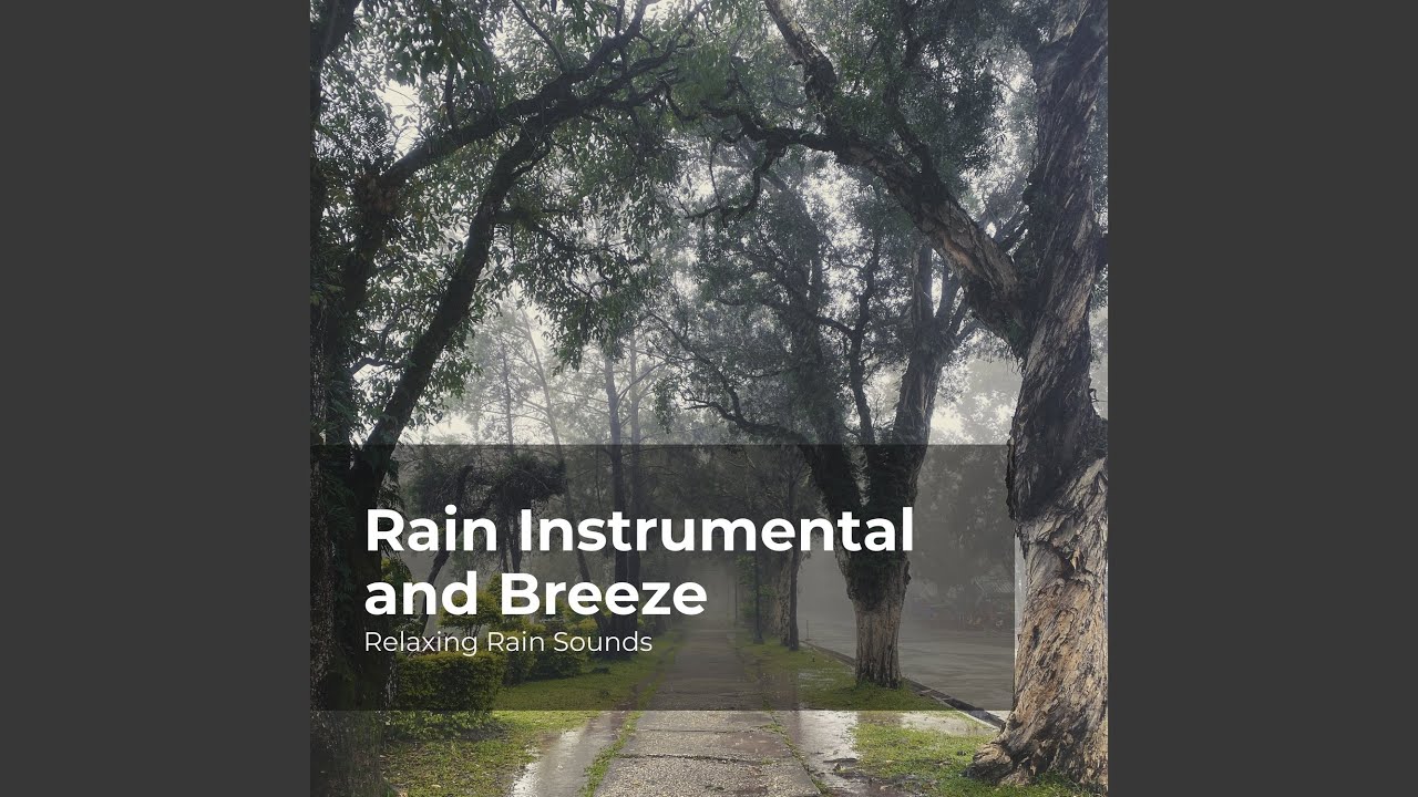 Chilling in Rain Skyfall - YouTube