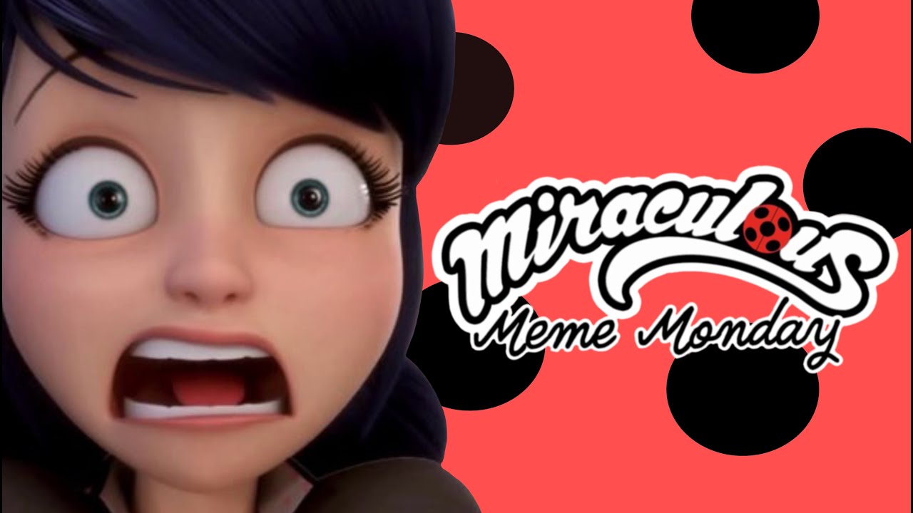 Miraculous Monday Meme Review #44 🐞 - YouTube