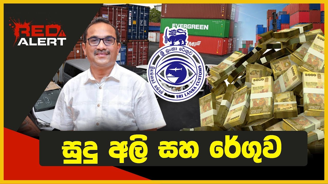 සුදු අලි සහ රේගුව | RED ALERT | The Leader TV - YouTube