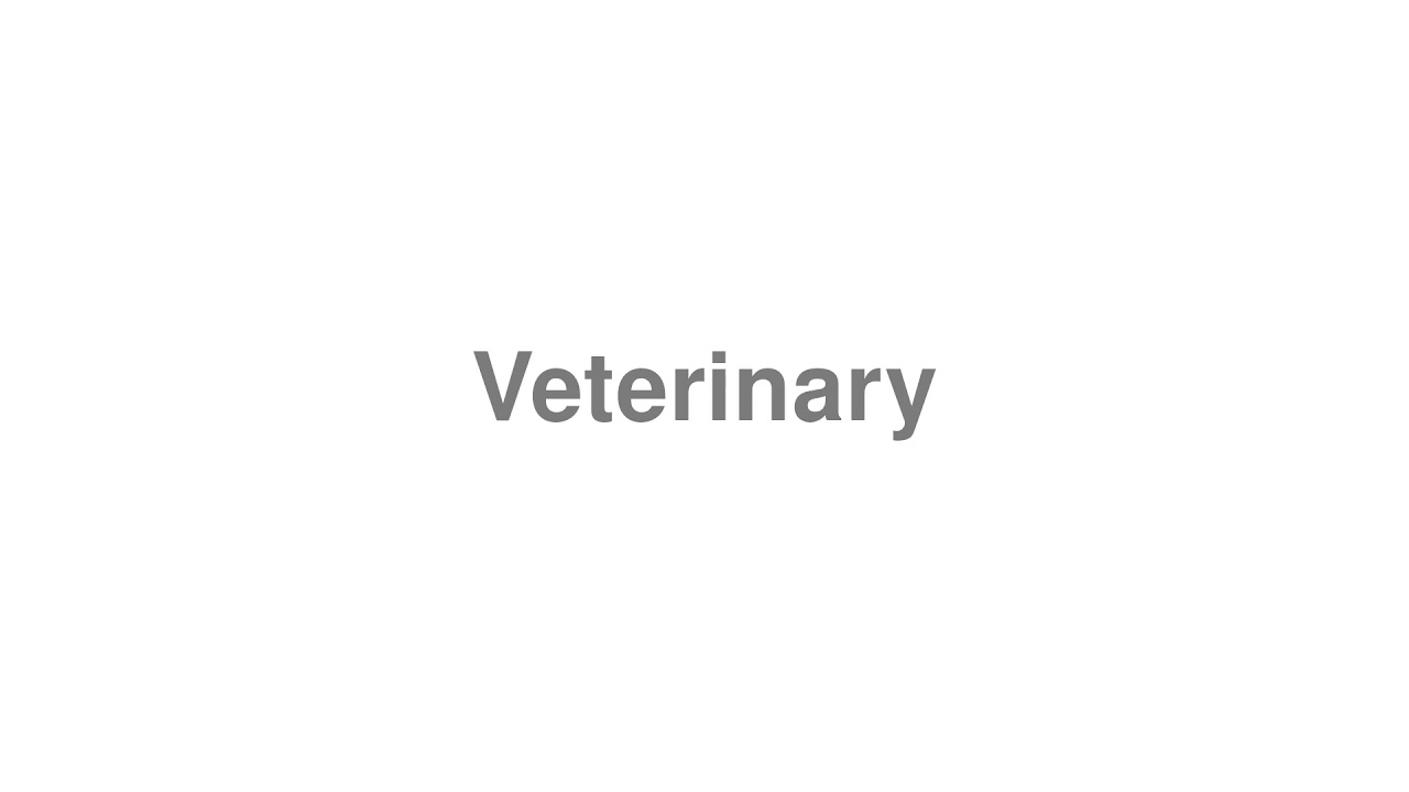 How to Pronounce "Veterinary" - YouTube