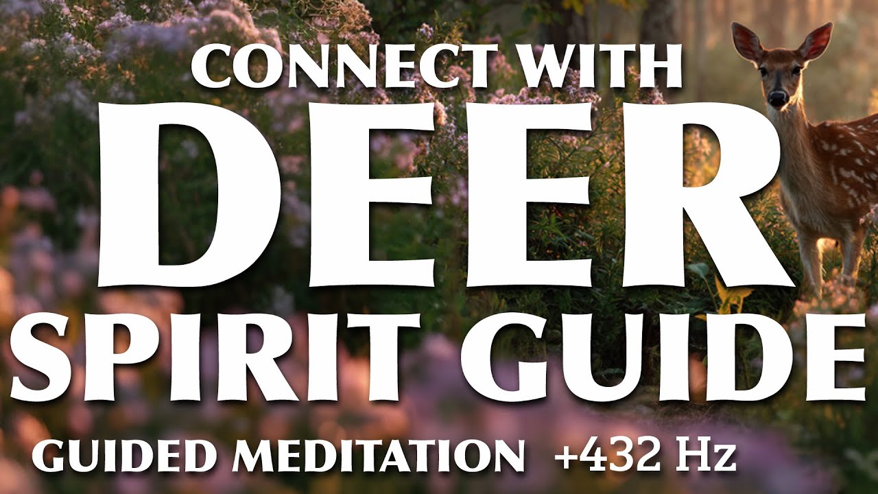 Guided Meditation | Deer Spirit Guide for Gentle Strength - YouTube