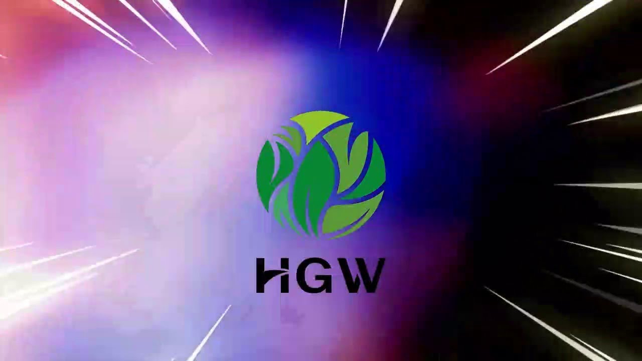 COMO HACER TU PRIMERA COMPRA EN HGW - YouTube