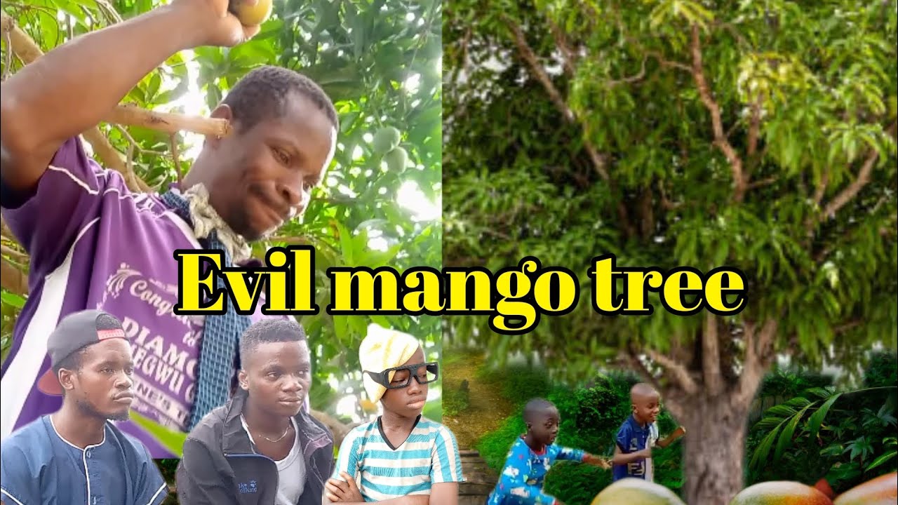 evil mango tree (#comedy #funnyvideo #funnybroscomedy #reels # ...