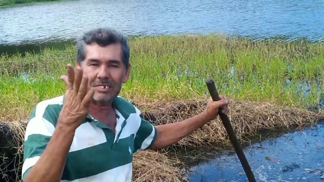 TIRANDO CAPIM BRAQUIÁRIA E AGUAPÉ DA LAGOA - YouTube