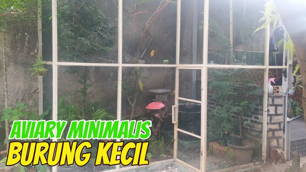 Aviary mini minimalis kandang burung kecil Bird Aviary - YouTube