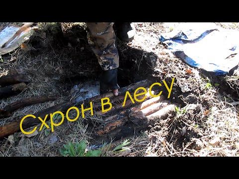 Схрон в лесу год спустя