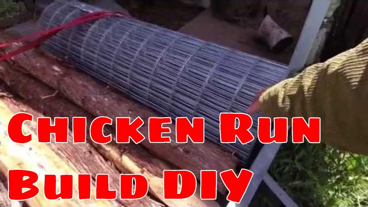 Chicken Run Plans - An update to the homestead, a larger run! - YouTube