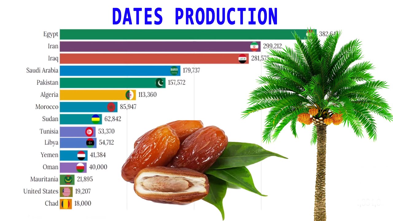 Top largest Dates Producing Countries - YouTube