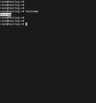 How to check hostname in Ubuntu using terminal? - YouTube