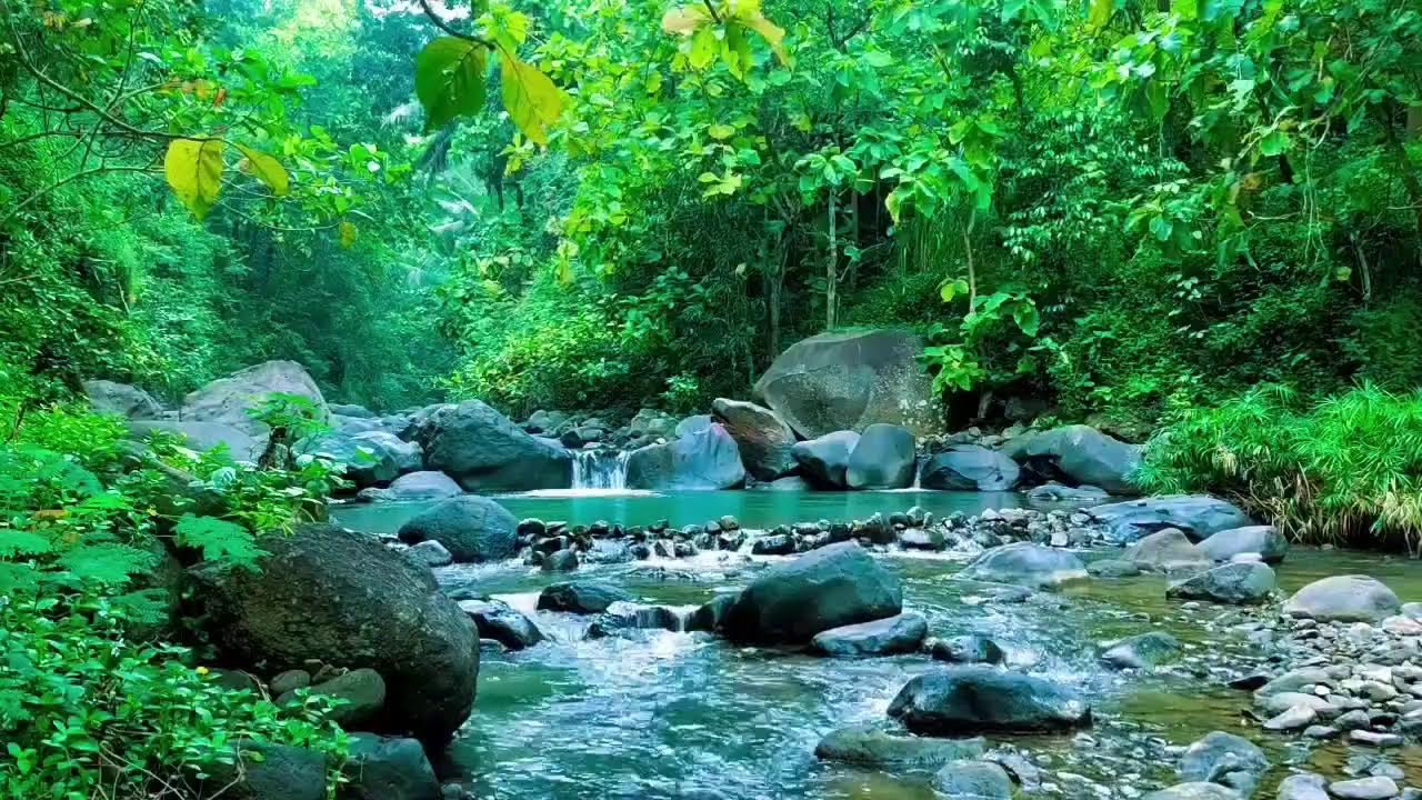 Natural Ambience for Sleep, Stress Relief, and Study || Relaxing River ...