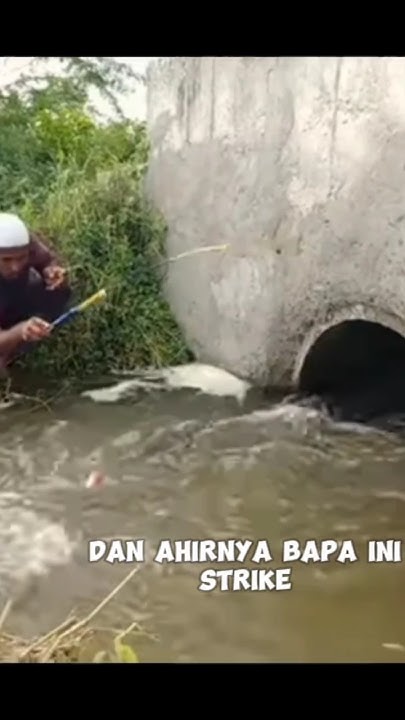 mancing ikan nila di gorong gorong pinggir jalan‼️ #shorts #mancingikan - YouTube