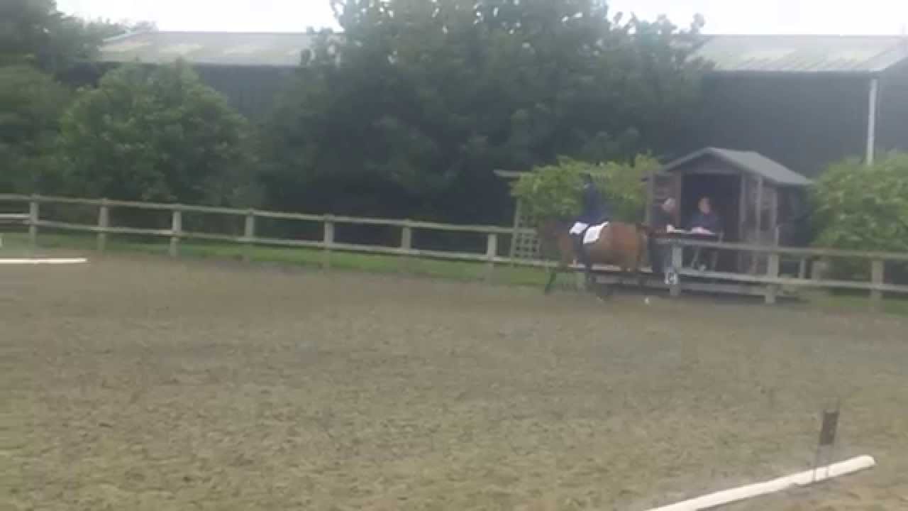 Dawn and Pen Intro B Dressage Test - YouTube
