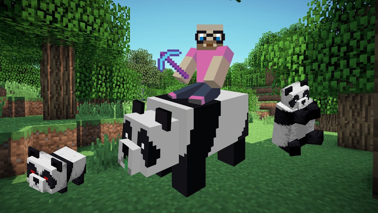 PANDA SMP night 1!!! - YouTube