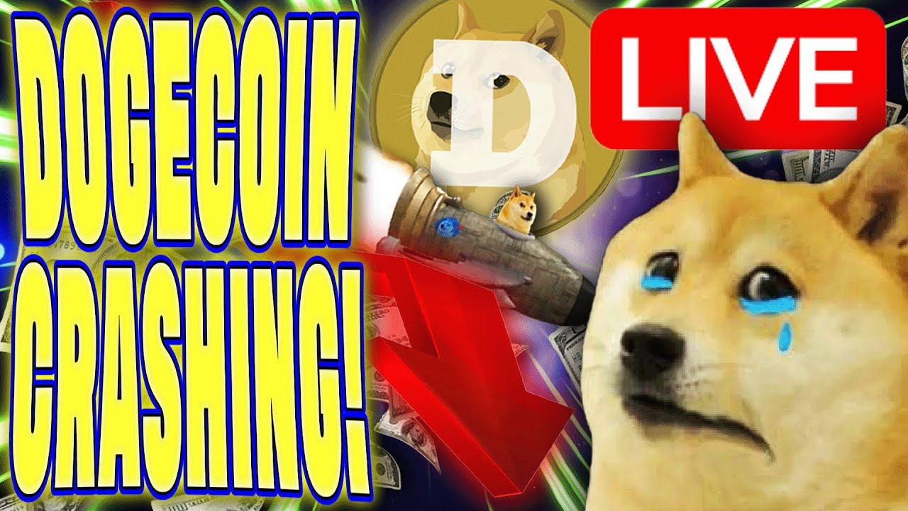 Crypto Crashes After Bitcoin Reaches New Record High! - YouTube