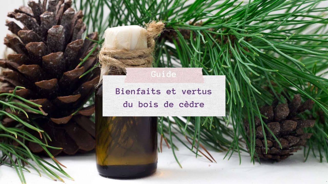 Bois De Cedre Utilisation