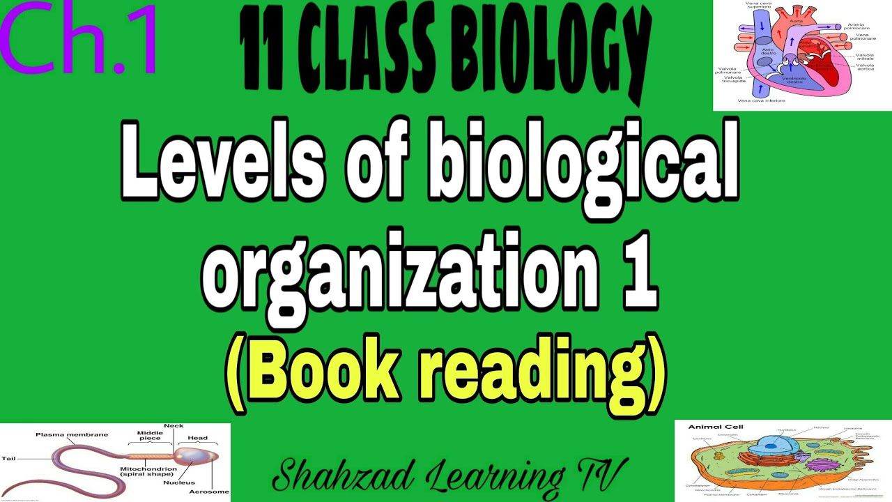 1st year biology Ch1 Lec5(book reading) | Levels of biological organization - YouTube