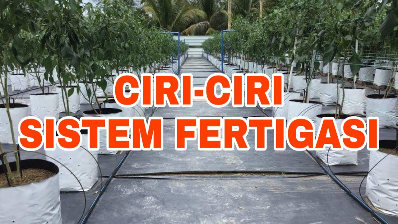 Tips Dan Ciri- Ciri Sistem Fertigasi - YouTube