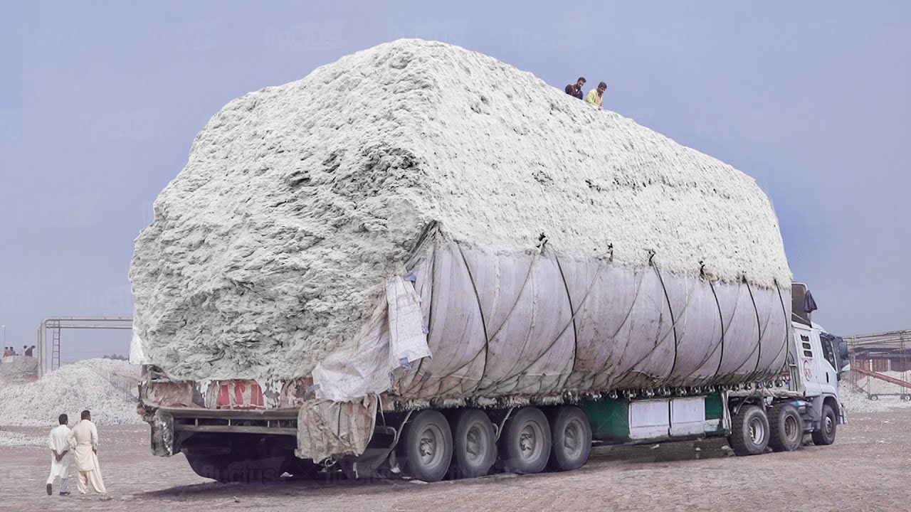 Pakistan’s Cheapest Solution to Transport Tons of Fresh Cotton - YouTube