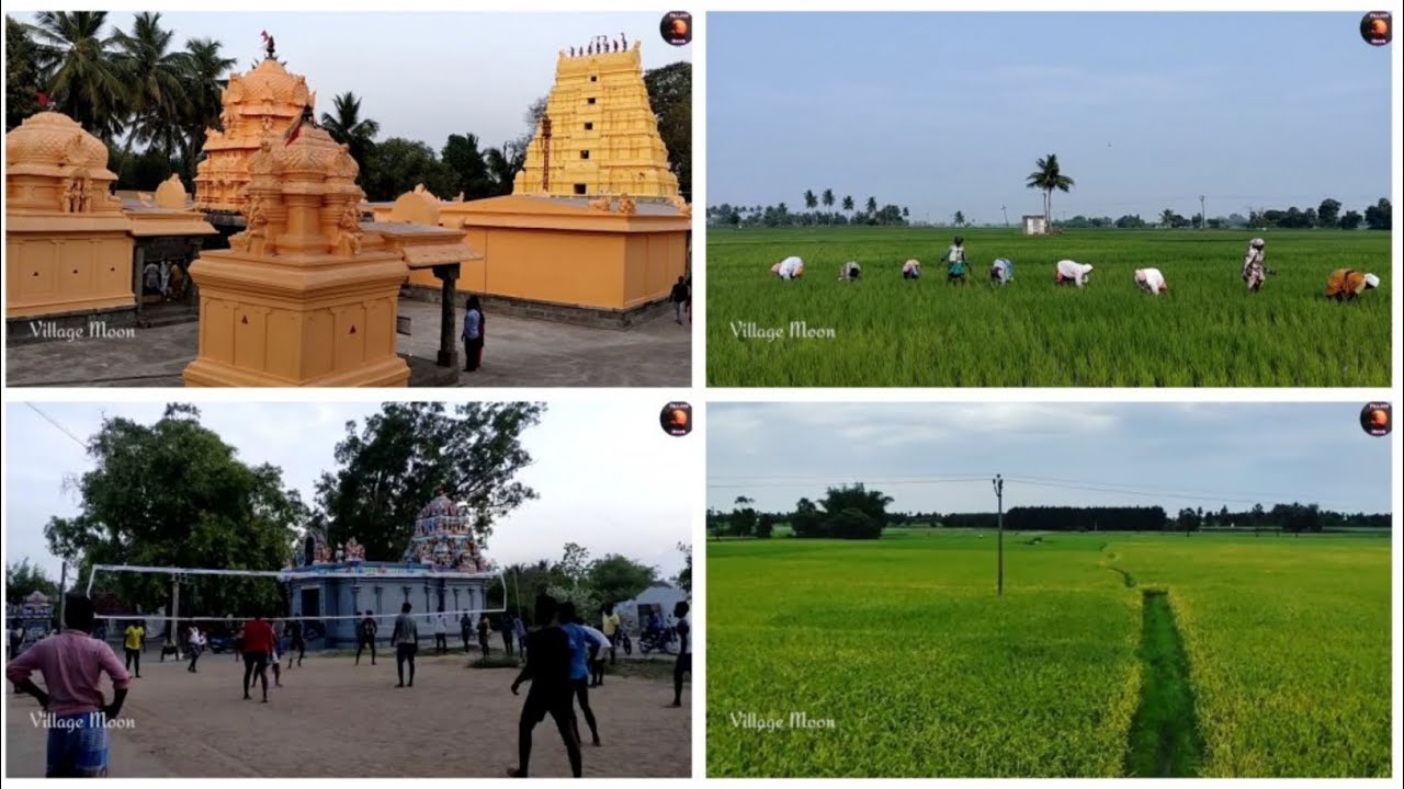 Enguru kovil pathuko #myvillage #nature #gramam #villagelife # ...