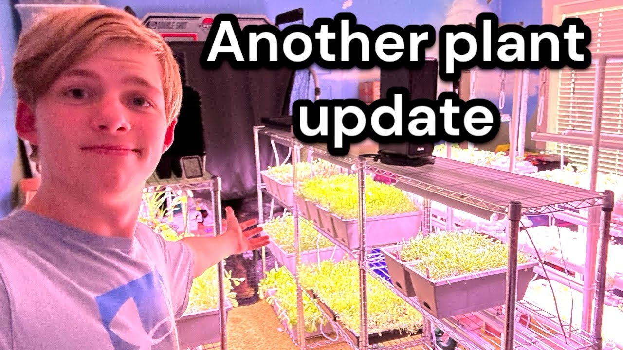 Another plant update - YouTube