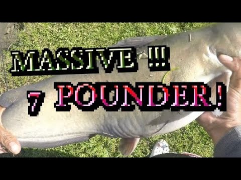 CATCHING MASSIVE 7LB FISH IN NEIGHBORHOOD PARK ! - YouTube