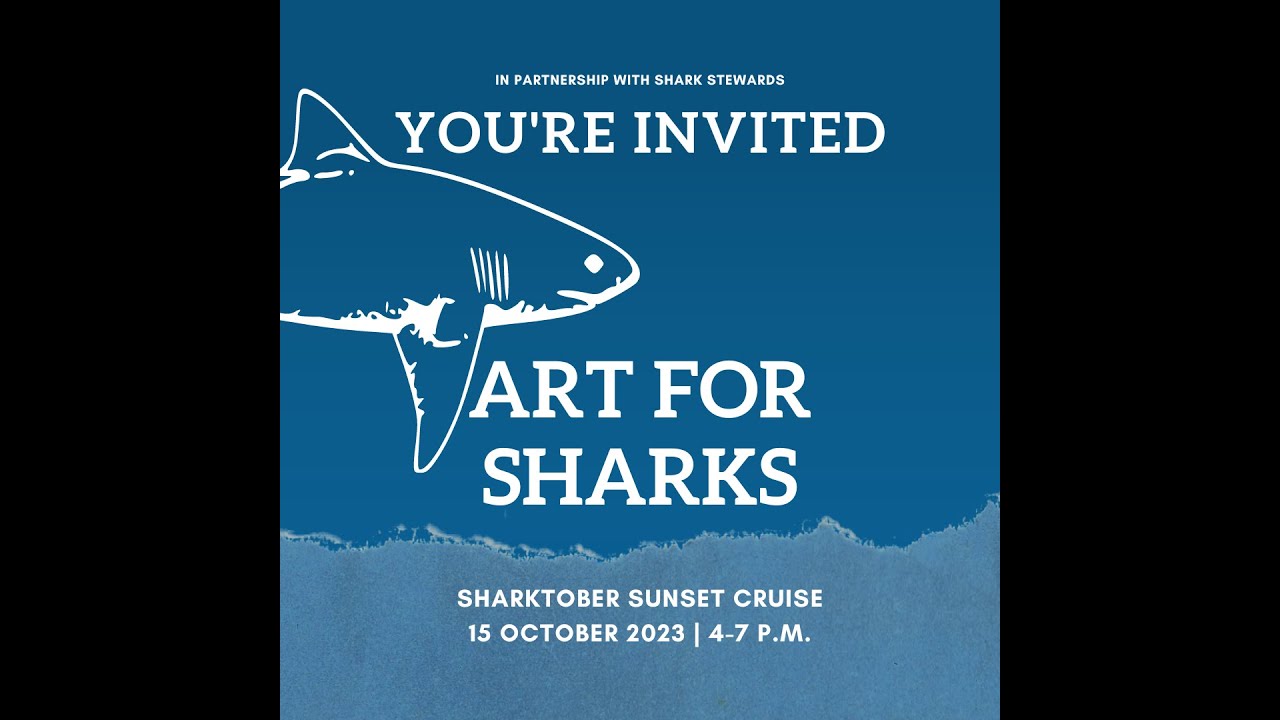 Art for Sharks Conversation 2023 with Shark Stewards - YouTube