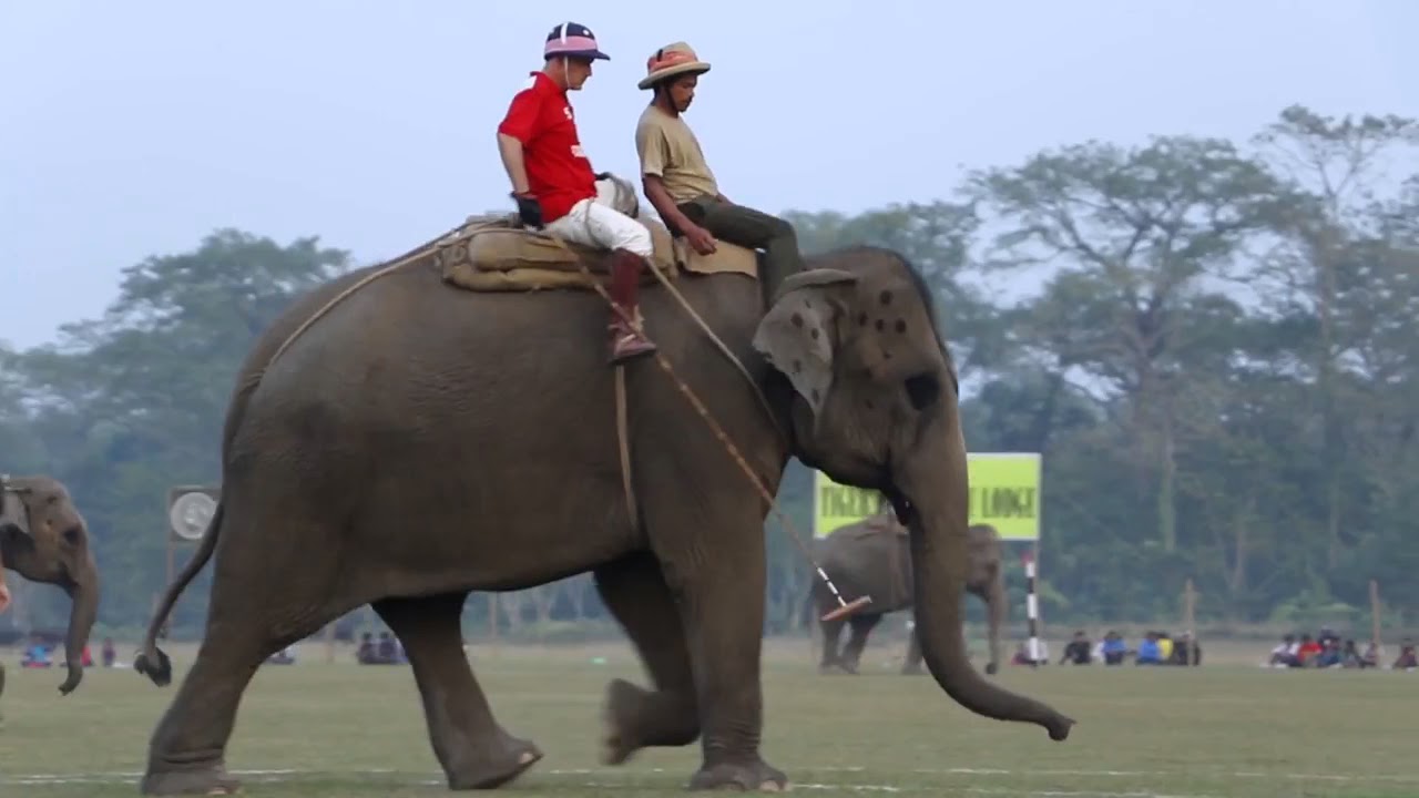 The Polo Channel # The World Elephant Polo Championship 2016 The Final ...