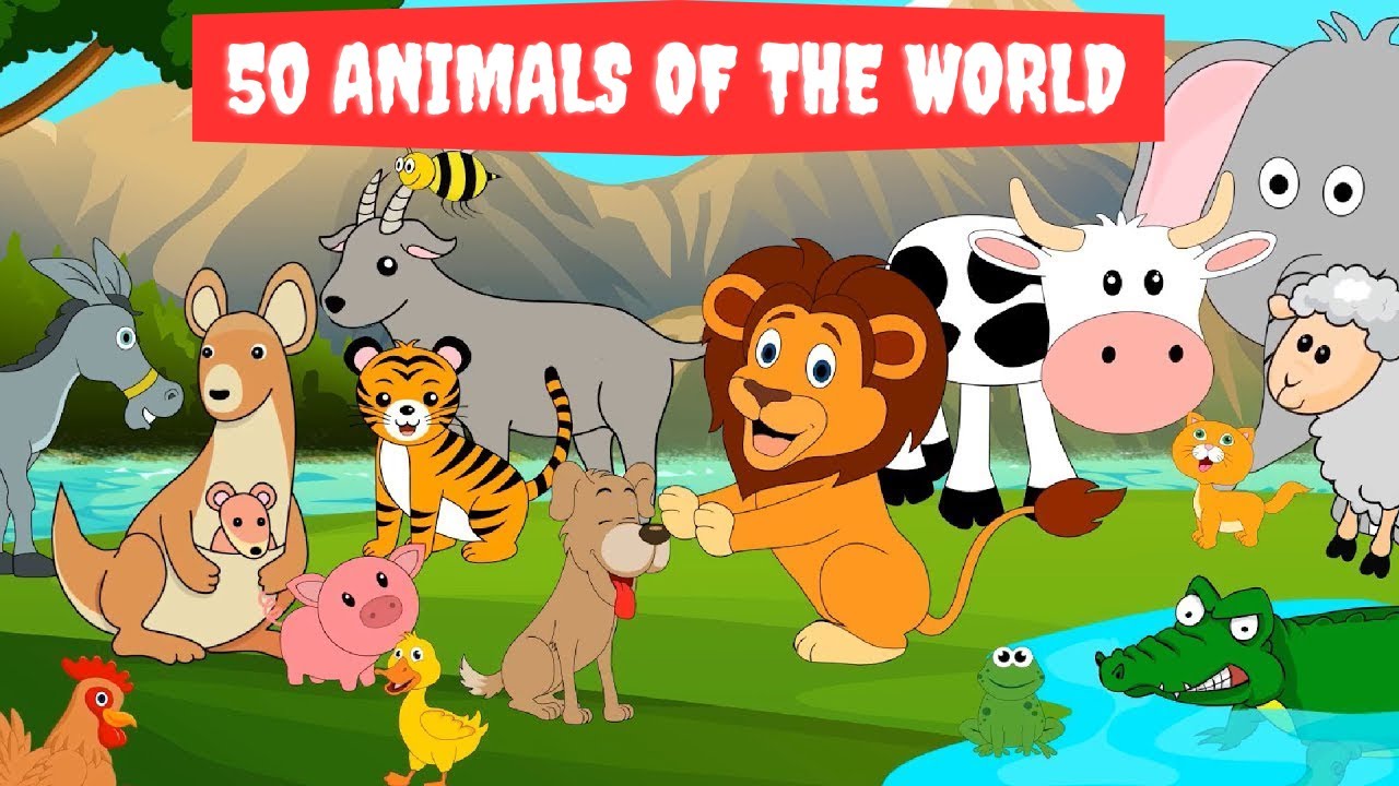50 Animals of the World - Learn Different Names and Sounds of the ...