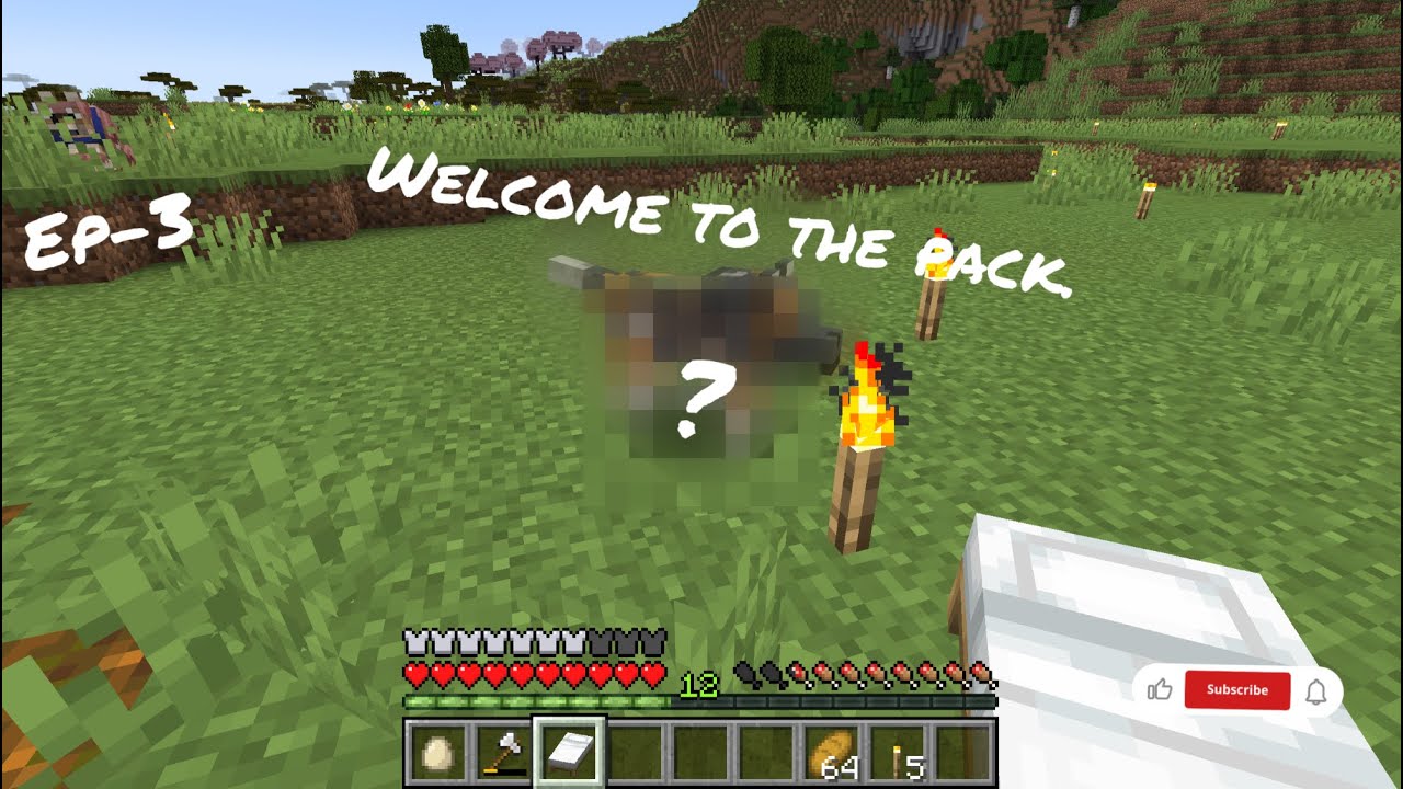 Ep. 3 Taming All MC Dogs! New Friends - YouTube