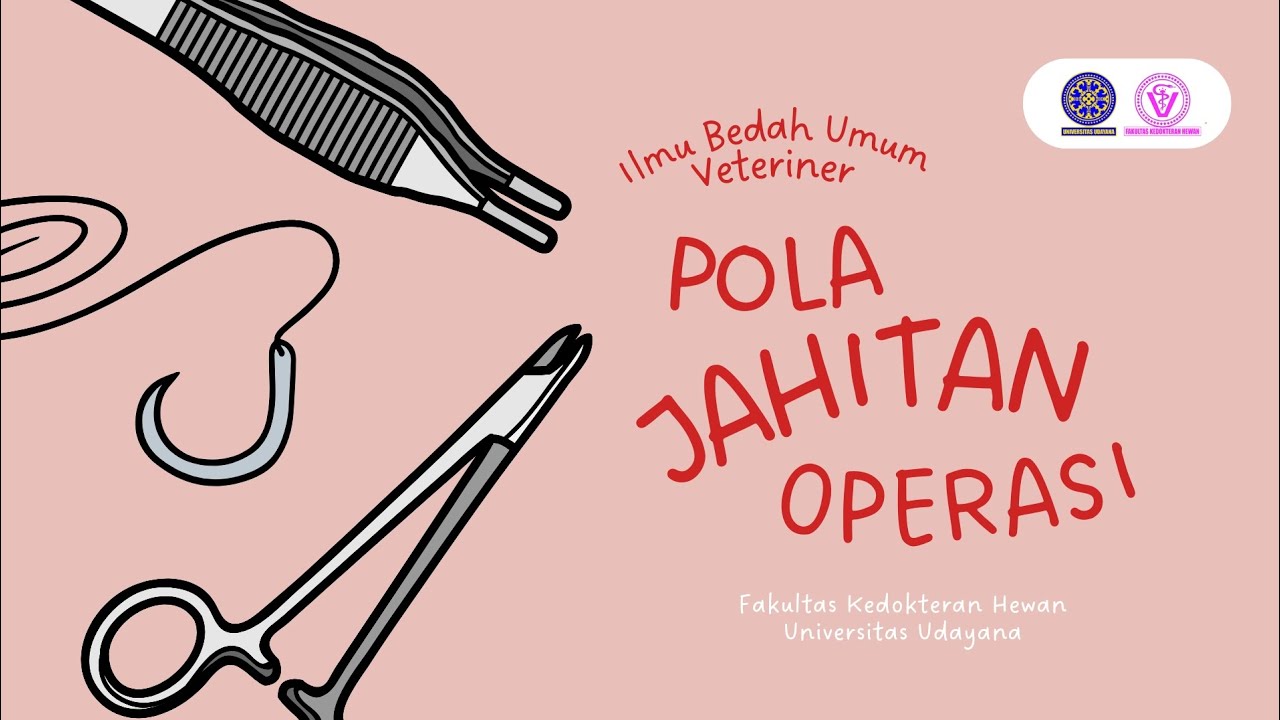 Pola Jahitan Operasi || Ilmu Bedah Umum Veteriner - YouTube