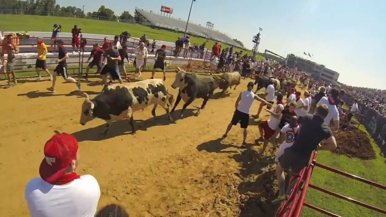 Raw Video: The Great Bull Run Brings Running With The Bulls To America ...