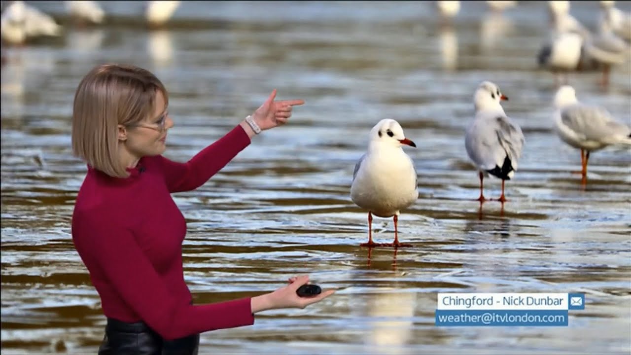 Weather pictures with Sally on New Year's Eve (UK) - ITV London weather ...