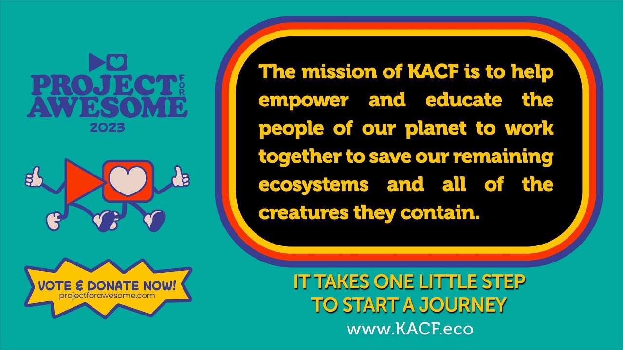 Katie Adamson Conservation Fund P4A 2023 - YouTube