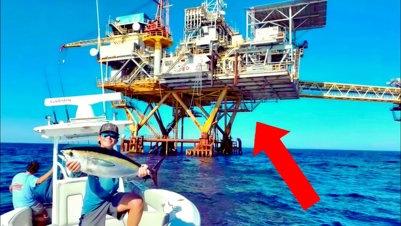 Fishing Oil Rigs for GIANT Amberjack, Blackfin Tuna & more! - YouTube