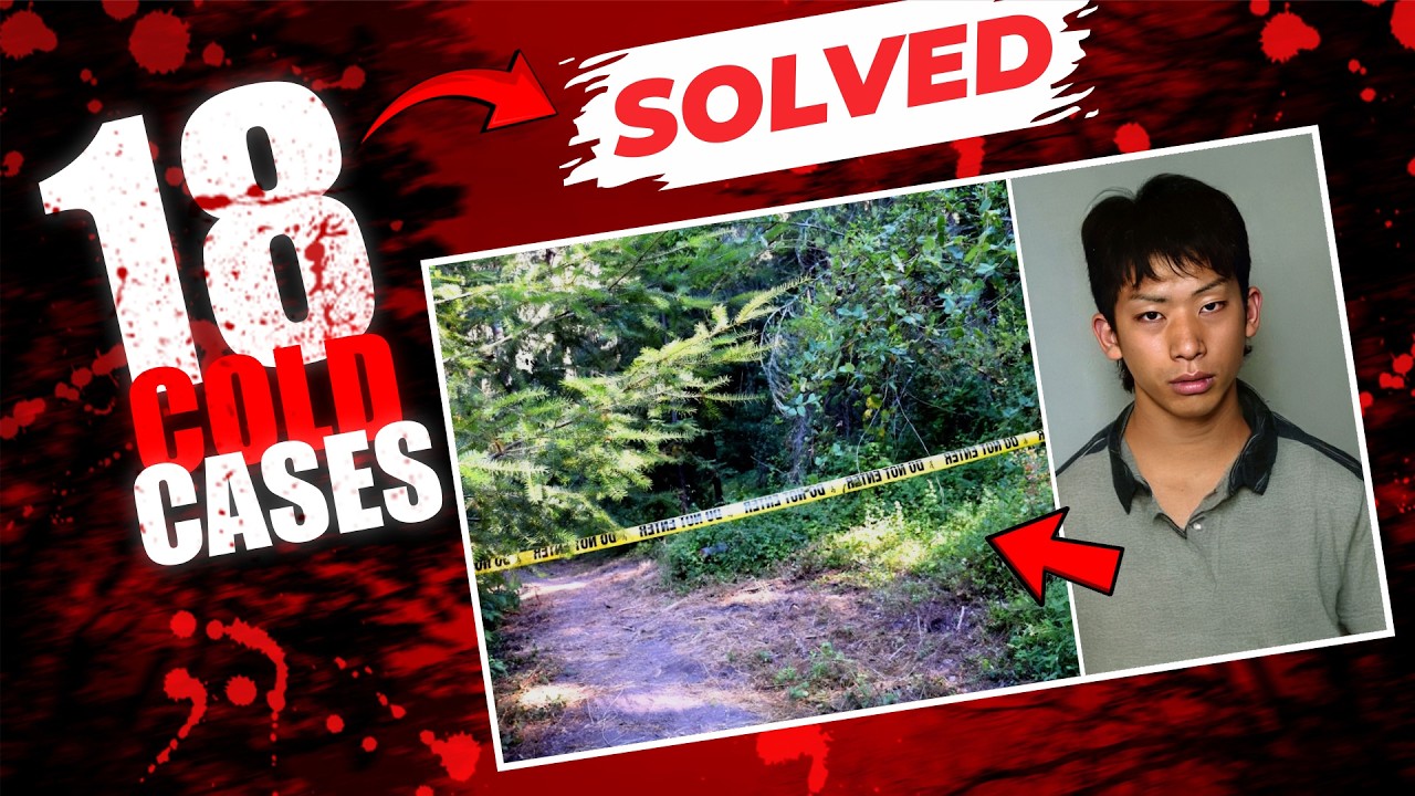 18 Cold Cases That Were Solved Recently | True Crime Documentary ...