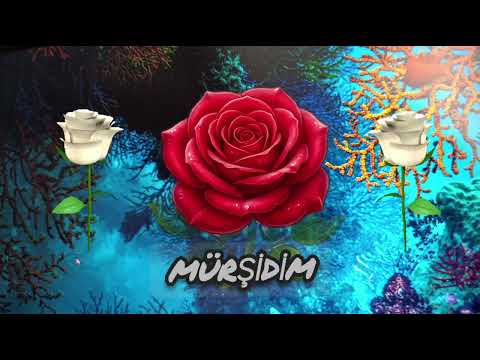 Murşidim ilahisi Mürşidini Sevenlere gelsin  #anlamlıgüzelsözler #fypviral #öneçıkart  