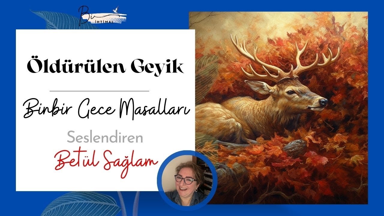 Binbir Gece Masalları: Öldürülen Geyik - Betül Sağlam - YouTube