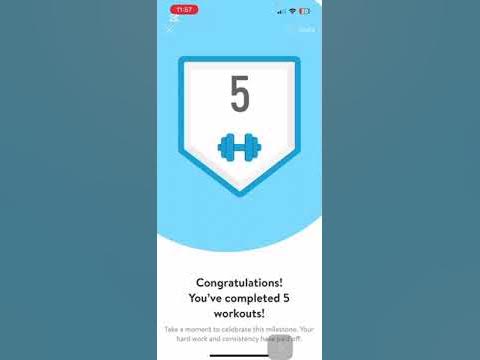 How to use trainerize - YouTube