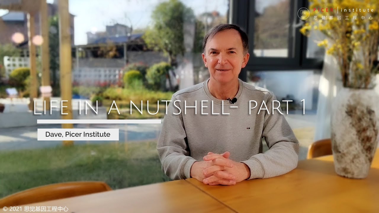 Life in a Nutshell - Part 1 - YouTube