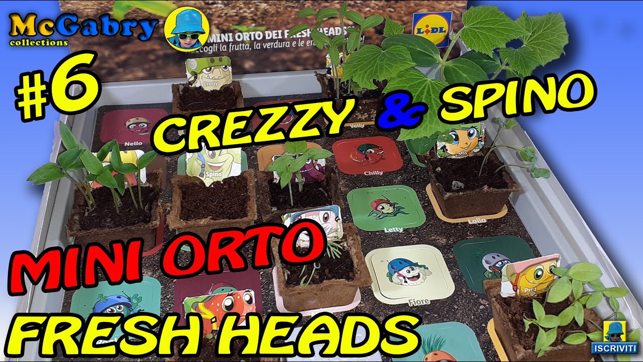 THE FRESH HEADS MINI ORTO #6 COLLEZIONE PIANTINE LIDL 2022 UNBOXING ...
