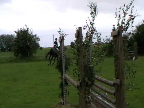 Monarch Working Hunter Hambleton Show 29/05/11 - YouTube